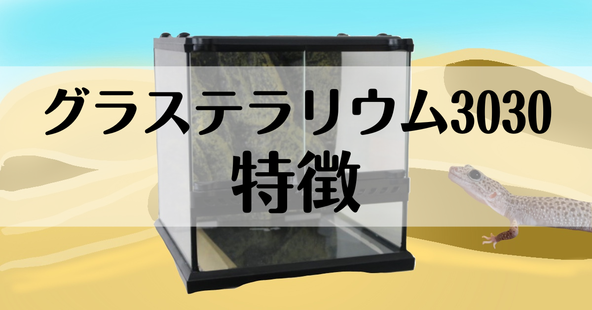 GEXエキゾテラ グラステラリウム3030レビュー | レオパのはじめかた