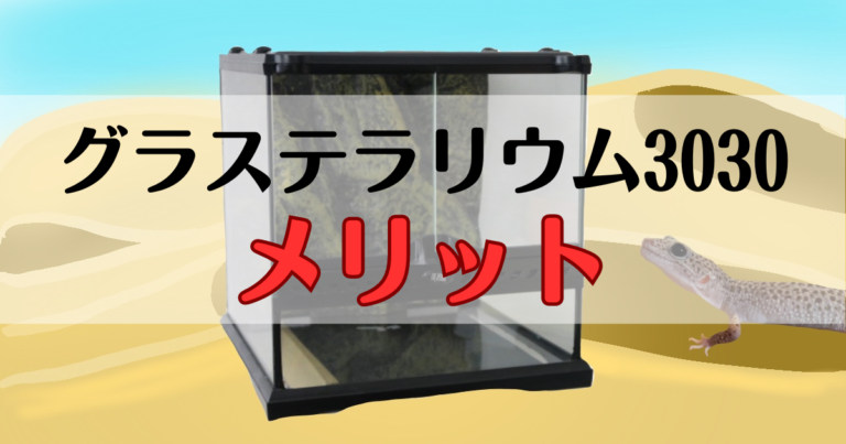GEXエキゾテラ グラステラリウム3030レビュー | レオパのはじめかた